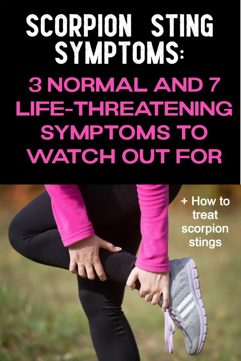 How to easily treat a scorpion sting at home – Natural Upkeep