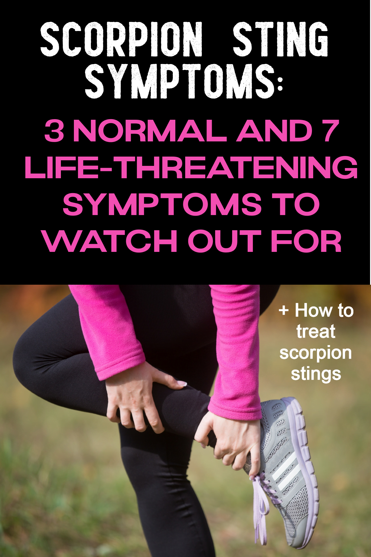 How to easily treat a scorpion sting at home – Natural Upkeep