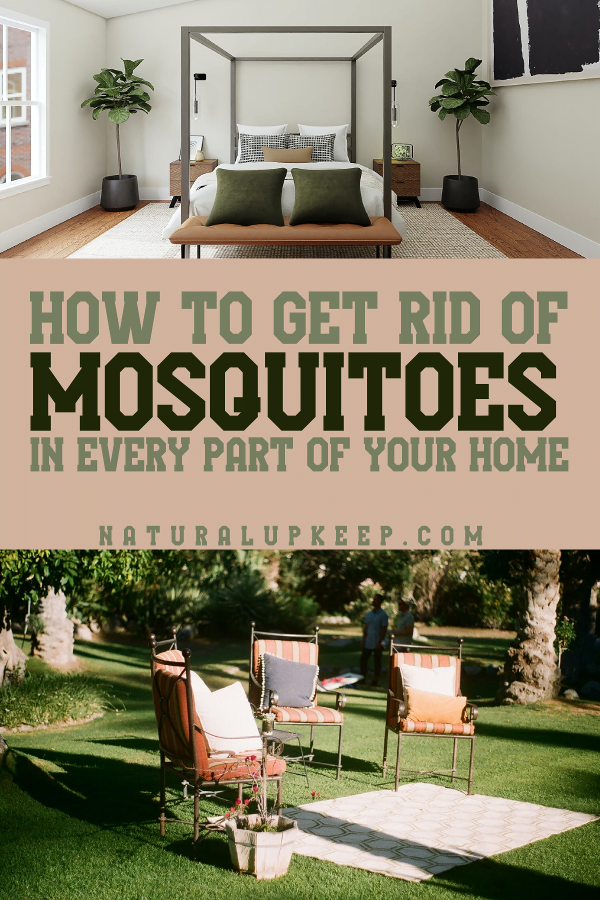 How To Get Rid Of Mosquitoes in your home – Natural Upkeep