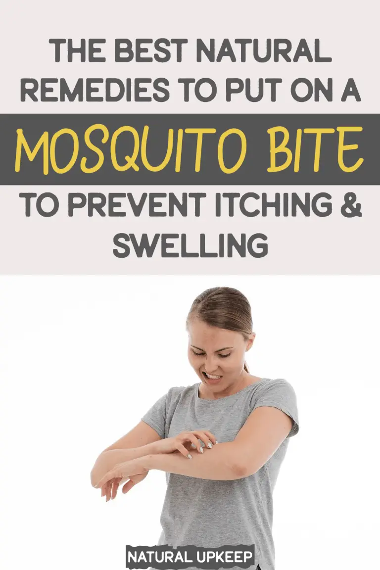 13 Best Mosquito bite remedies To stop and prevent itching and swelling ...